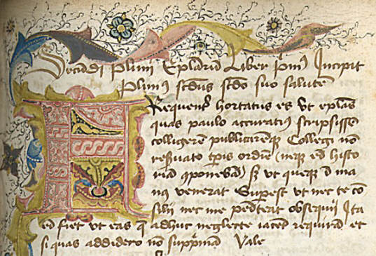 Latein: www.latein-pagina.de